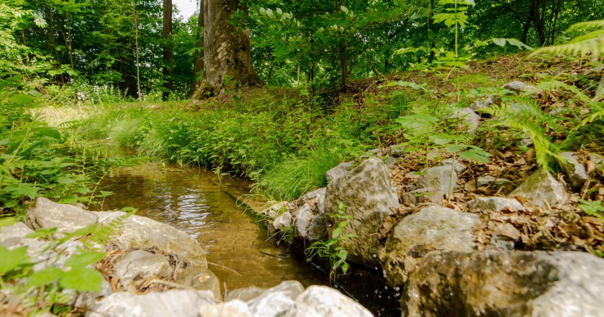 La rivière de Seneffe – Domaine du Château de Seneffe
